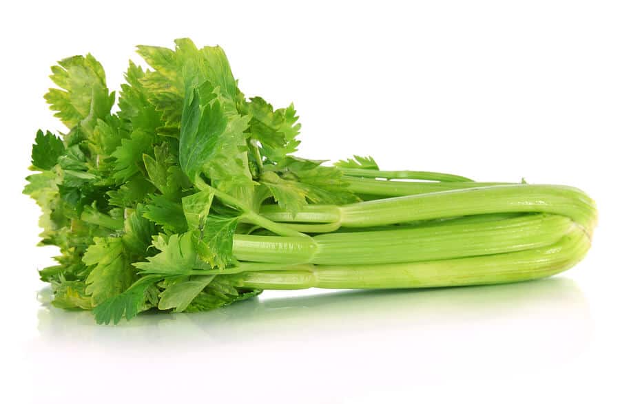 10 Benefits Of Celery Nutrition Facts And Recipes Dr Axe 10 Benefits Of Celery Nutrition Facts And Recipes Dr Axe