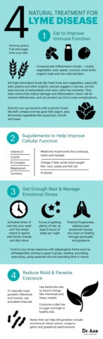 Lyme Disease Treatment Options, Causes, How to Prevent - Dr. Axe