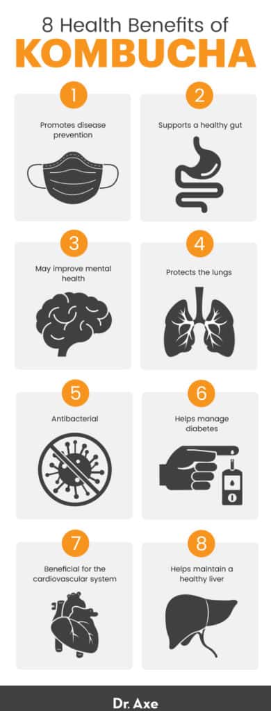 Kombucha Benefits, Nutrition Facts and Recipe - Dr. Axe