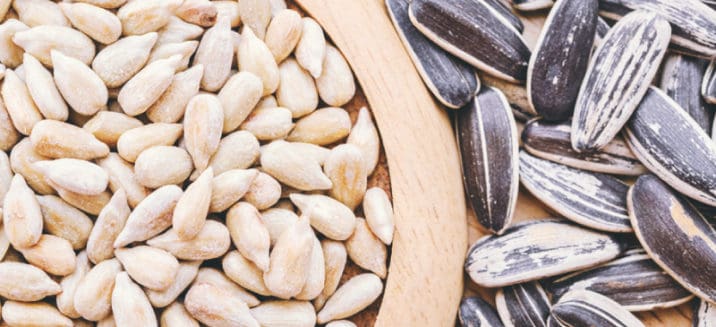 Top 10 Vitamin B5 Foods (Pantothenic Acid) - Dr. Axe