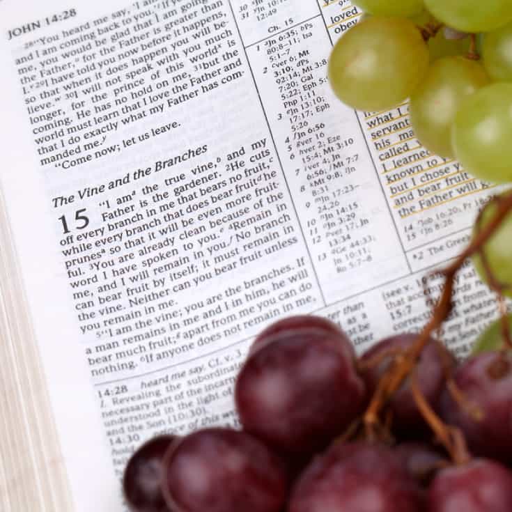 What Is Hubbard Squash? Nutrition, Benefits, Recipes and More - Dr. Axe