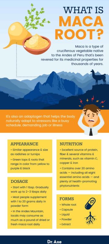 Maca Root Benefits, Nutrition, Dosage and Side Effects - Dr. Axe