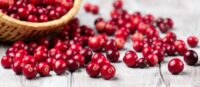 Cranberry Benefits, Nutrition and How to Use - Dr. Axe