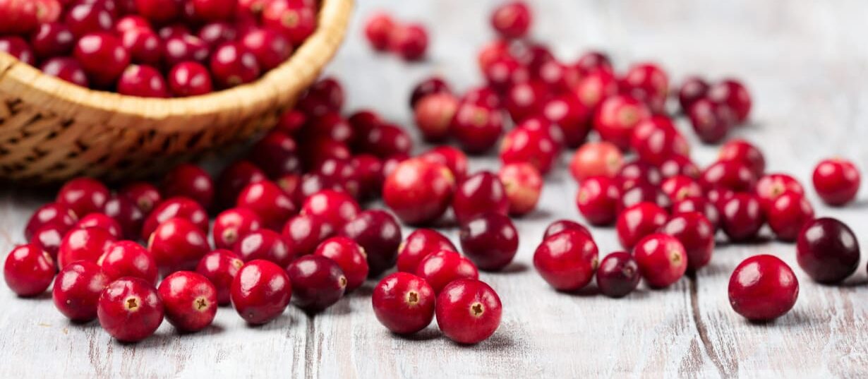 Cranberry Benefits, Nutrition and How to Use - Dr. Axe