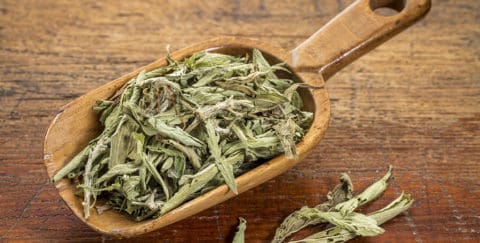 5 Benefits of Stevia and How to Use the Different Types | GreenStories