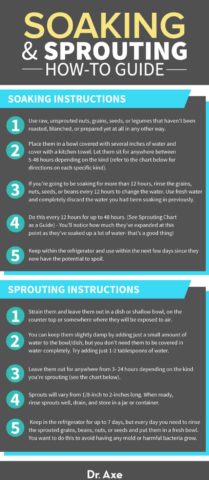 Sprouting Guide: How to Sprout Grains, Nuts and Beans - Dr. Axe