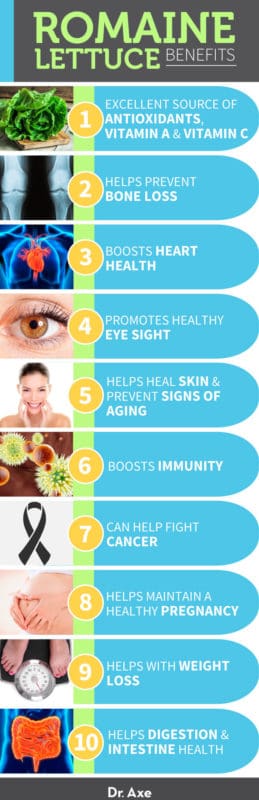 Romaine Lettuce Nutrition, Benefits, Side Effects and Recipes - Dr. Axe