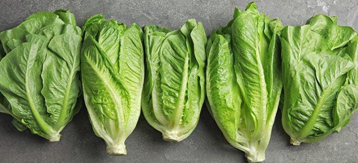 Romaine Lettuce Nutrition, Benefits, Side Effects and Recipes - Dr. Axe