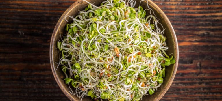 Sprouting Guide: How to Sprout Grains, Nuts and Beans - Dr. Axe