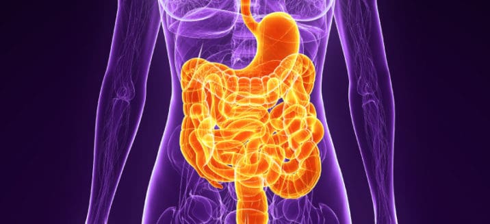 How Your Digestive System Works and How to Maintain It - Dr. Axe