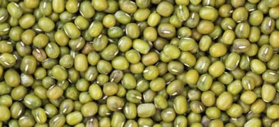 Mung Beans Nutrition, Benefits and How to Cook - Dr. Axe