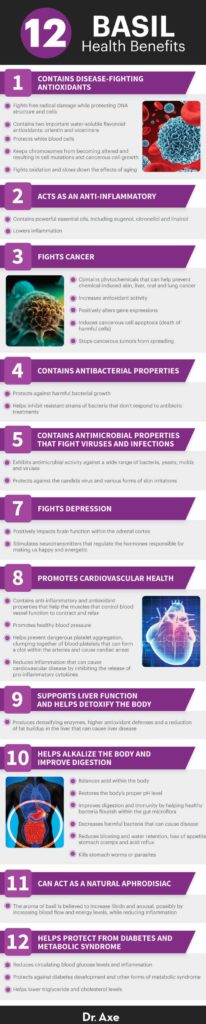 Basil Benefits, Uses, Recipes, Nutrition and Side Effects - Dr. Axe