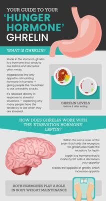 Ghrelin: How to Reduce This Hunger Hormone to Lose Weight - Dr. Axe