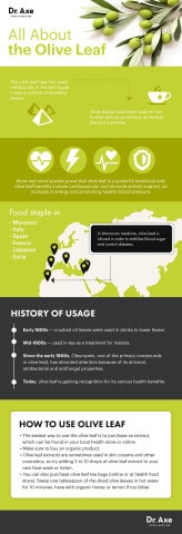 Olive Leaf Extract Benefits, Uses, Dosage and Side Effects - Dr. Axe