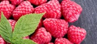 Raspberry Ketones Benefits, Uses, Side Effects and Dosage - Dr. Axe