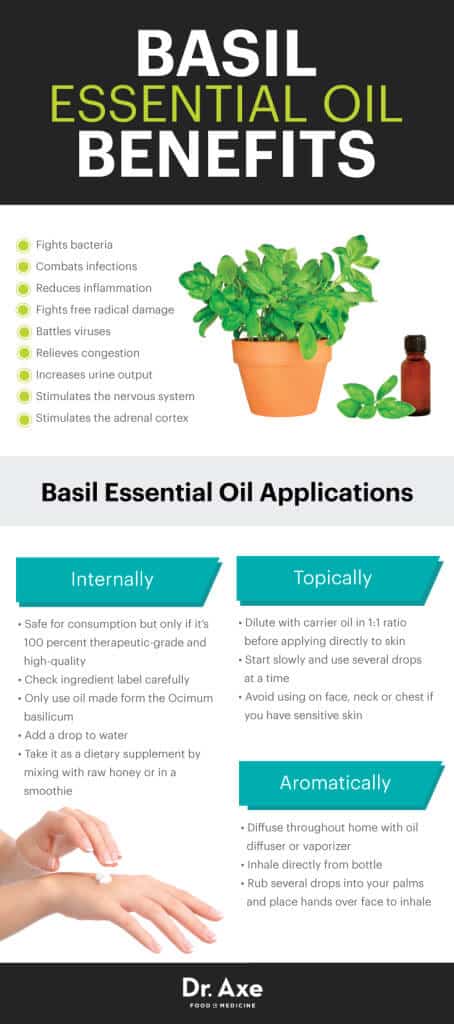 Basil Essential Oil Fights Bacteria, Colds & Bad Odor - Dr. Axe