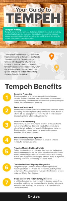 Tempeh Benefits, Nutrition Facts and How to Cook It - Dr. Axe