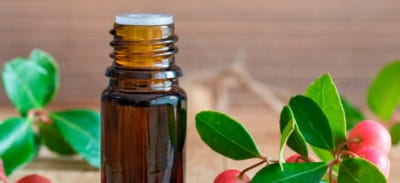 Wintergreen Oil Benefits, Uses and Possible Side Effects - Dr. Axe