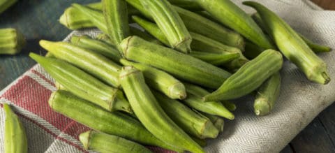 Okra Nutrition, Benefits, Uses, Recipes and Side Effects
