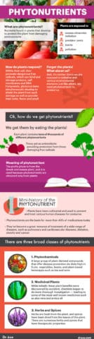 Phytonutrients Types, Top Foods, Benefits and More - Dr. Axe