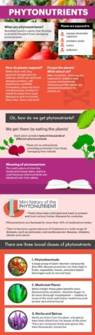 Phytonutrients Types, Top Foods, Benefits and More - Dr. Axe
