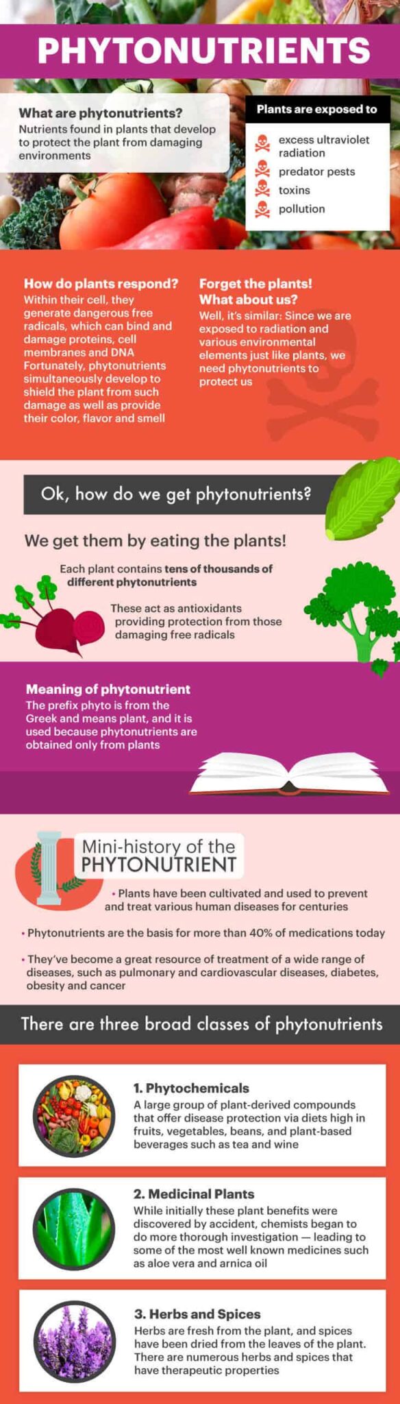 Phytonutrients Types, Top Foods, Benefits and More - Dr. Axe