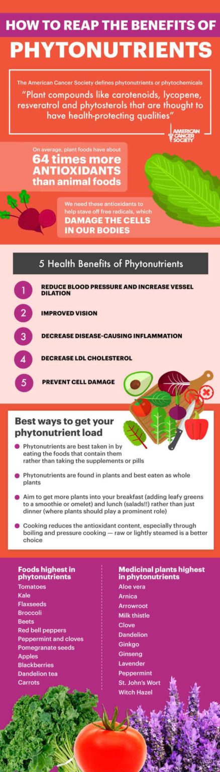 Phytonutrients Types, Top Foods, Benefits and More - Dr. Axe