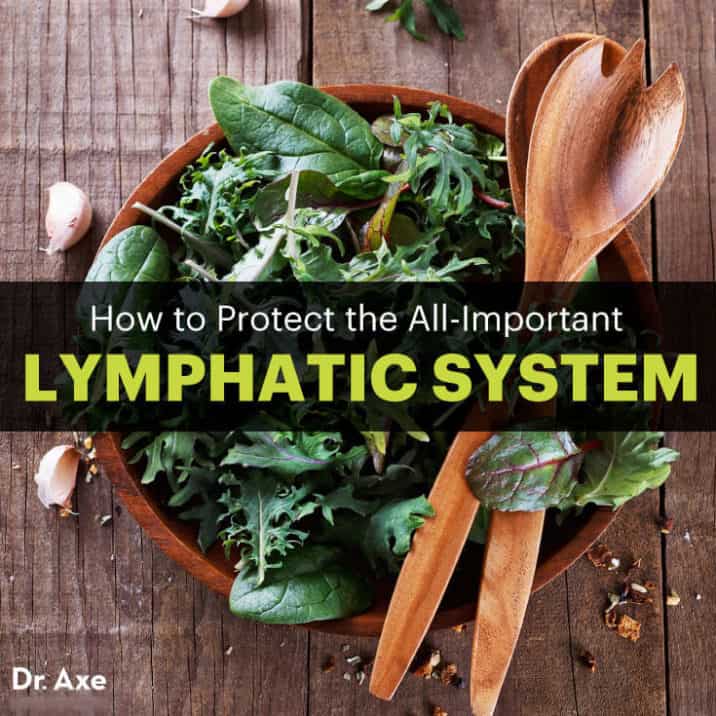 Lymphatic System: How to Make It Strong & Effective - Dr. Axe