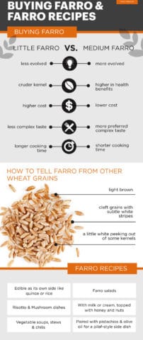 What Is Farro? Health Benefits and How to Cook - Dr. Axe