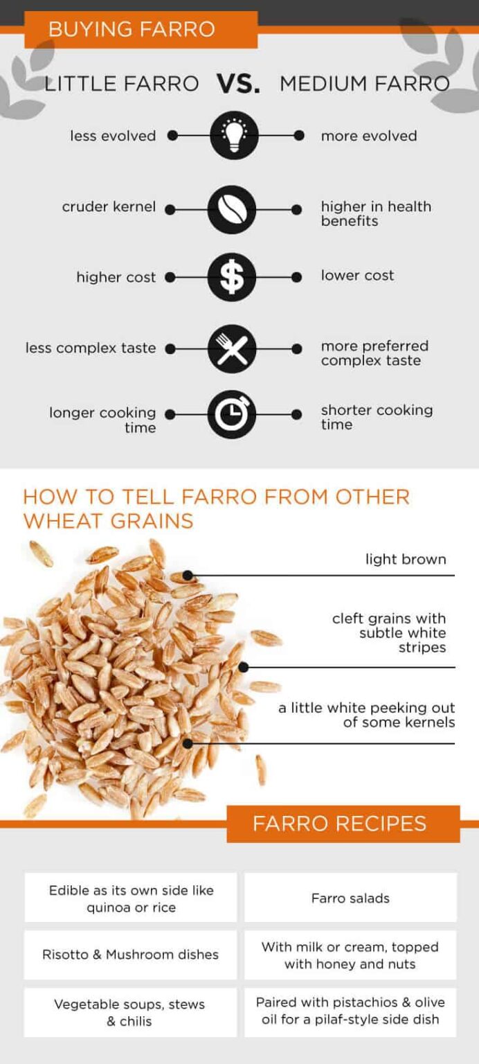 What Is Farro? Nutrition, Health Benefits and How to Cook - Dr. Axe
