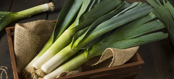 Leeks: Top Leek Benefits, Nutrition, Recipes and More - Dr. Axe