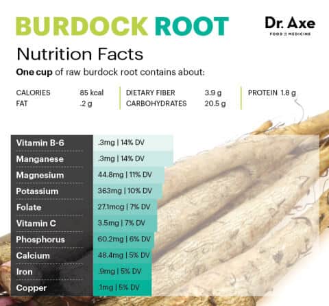 Burdock Root Helps Detox Blood, Lymph System and Skin - Dr. Axe