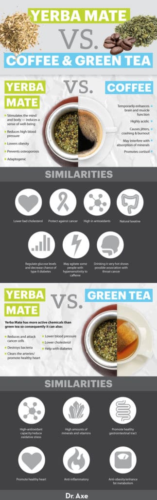 Yerba Mate Benefits, How to Make and Side Effects - Dr. Axe