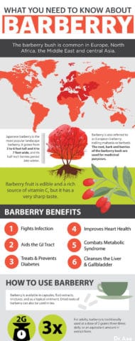 Barberry Benefits, Uses, Dosage and Side Effects - Dr. Axe