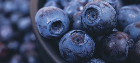 Bilberry Benefits, Uses, Types and Side Effects - Dr. Axe
