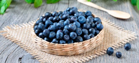 Bilberry Benefits, Uses, Types and Side Effects - Dr. Axe