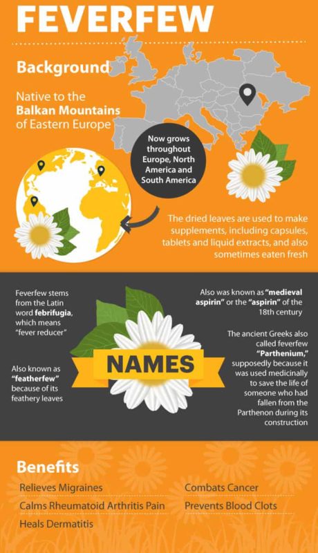 Feverfew Benefits, Uses and Supplement Dosage - Dr. Axe