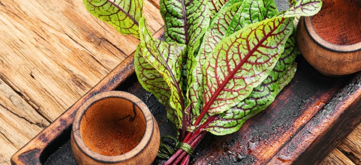 Sorrel Health Benefits, Nutrition Facts and How to Use - Dr. Axe