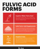 Fulvic Acid Benefits, Supplements and Side Effects - Dr. Axe