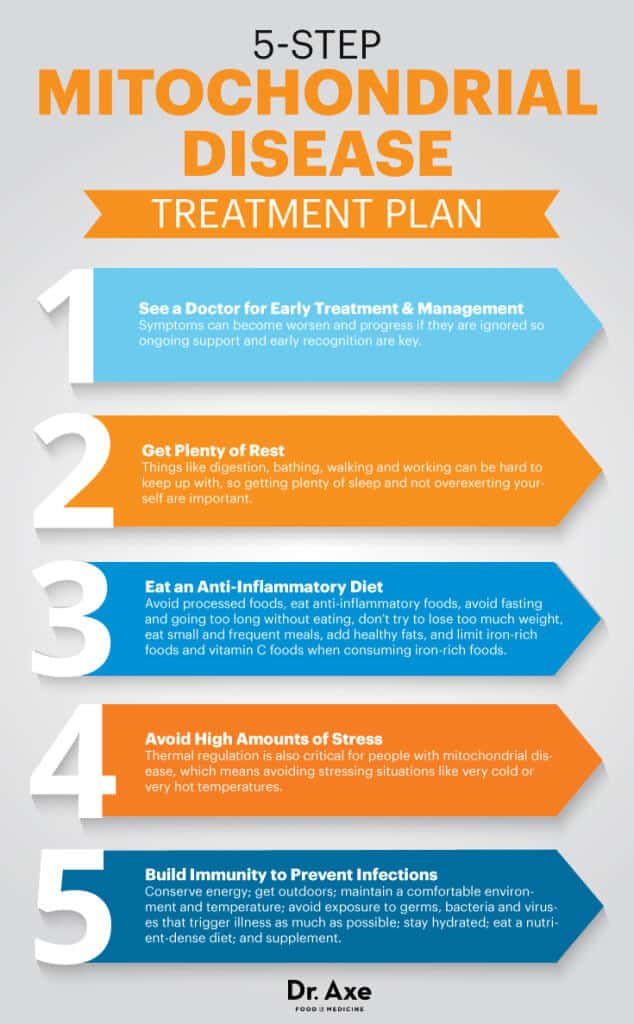 Mitochondrial Disease: The Tiring Disease You May Have