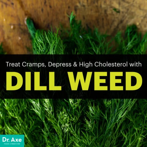 Dill Weed Nutrition Facts, Health Benefits and How to Use - Dr. Axe