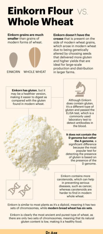 Einkorn Flour: The Superior Ancient Grain Compared to Whole Wheat