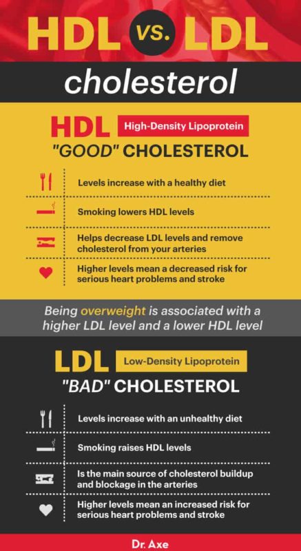 HDL Cholesterol: How to Increase 'Good' Cholesterol - Dr. Axe