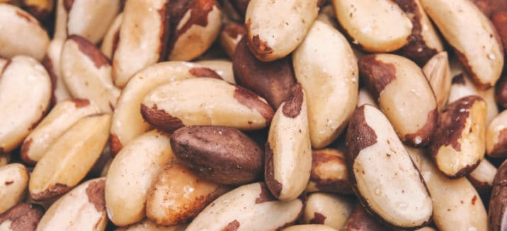 Brazil Nuts Benefits, Nutrition, Recipes, Risks, Side Effects, More