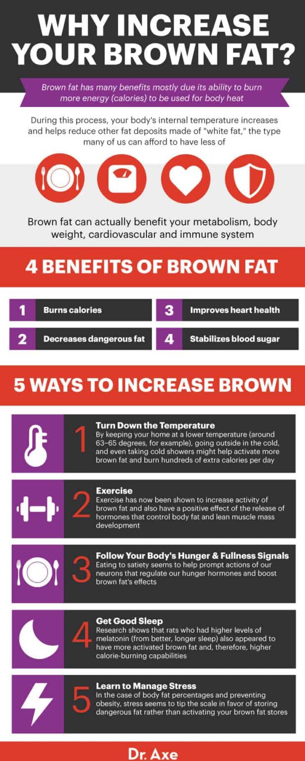 Brown Fat Benefits and How to Increase It - Dr. Axe