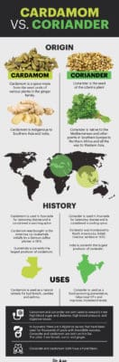 Cardamom Benefits, Nutrition and How to Use (Recipes) - Dr. Axe