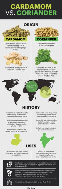 Cardamom Benefits, Nutrition and How to Use (Recipes) - Dr. Axe