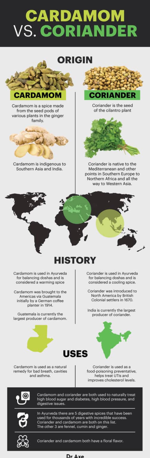 Cardamom Benefits, Nutrition and How to Use (Recipes) - Dr. Axe