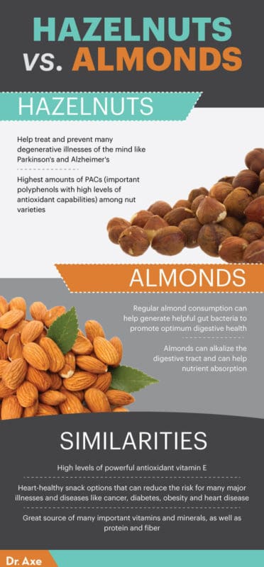 Hazelnuts Benefits, Nutrition and How to Use - Dr. Axe