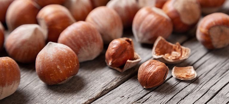 Benefits of Hazelnuts (Filberts) for the Heart and Brain - The Rike